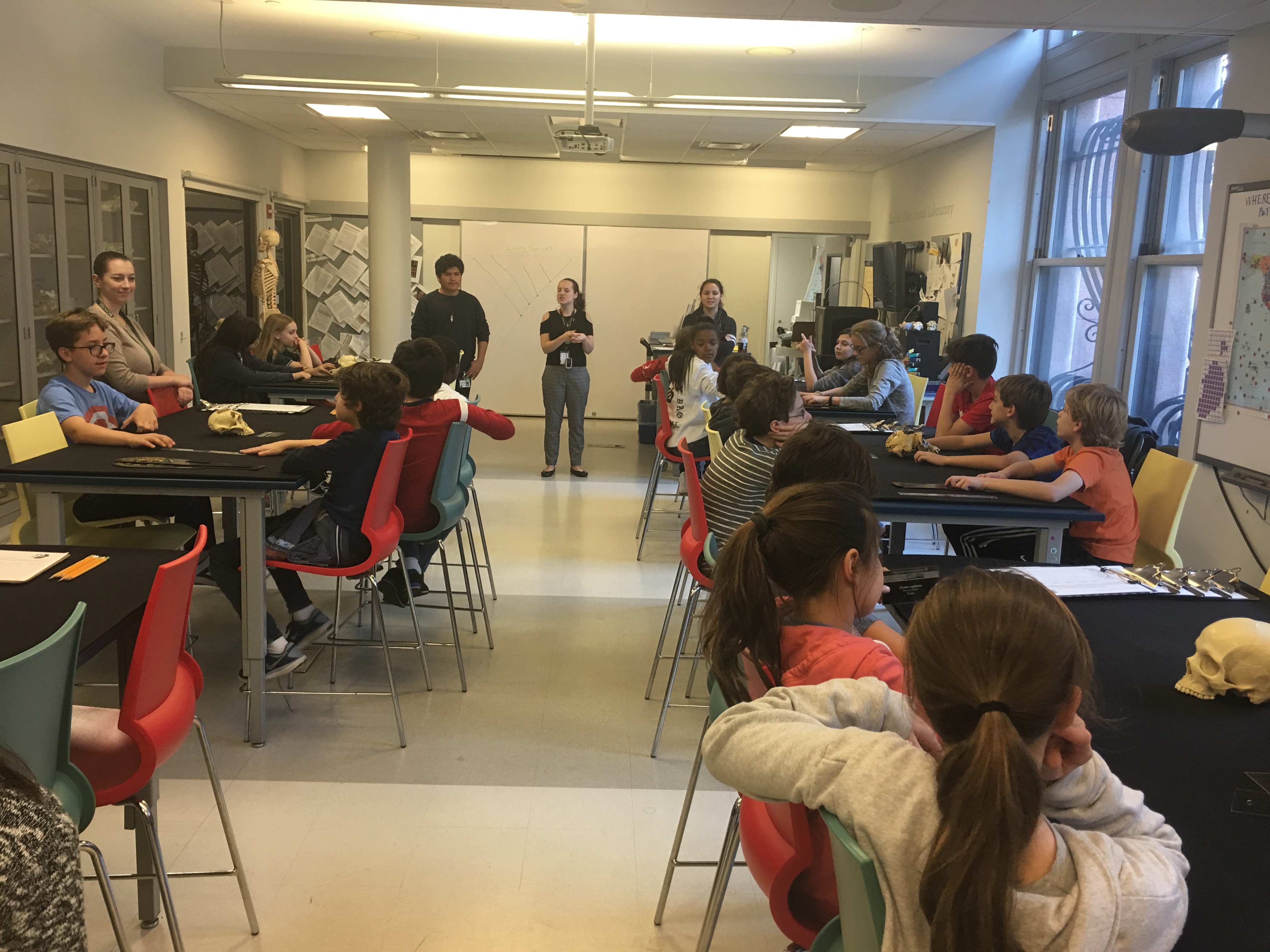 IMG_3391 - Stephen Gaynor School